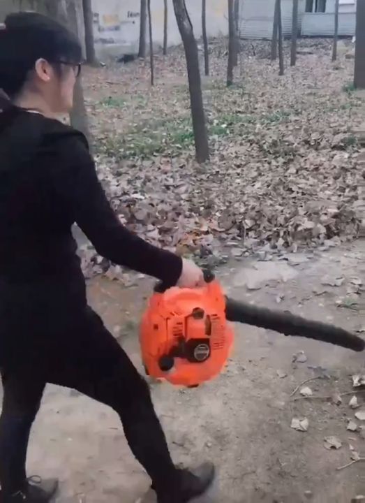 air blower angin petrol blower minyak gasoline eb260 blower Machine ...