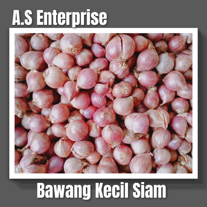 Bawang Kecil Siam Gred AAA - 500g | Lazada