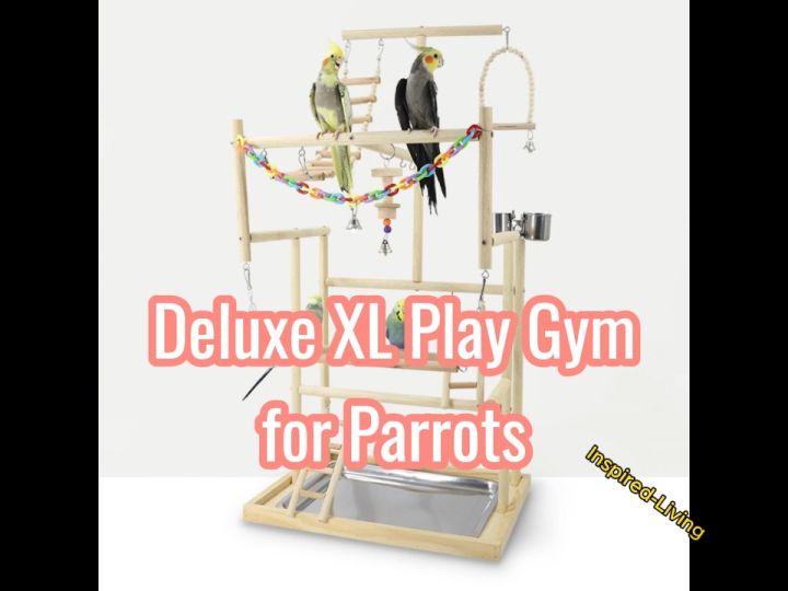 Bird Toy & Parrot Playstand | Bird Playground - Wooden Bird Toy Play ...