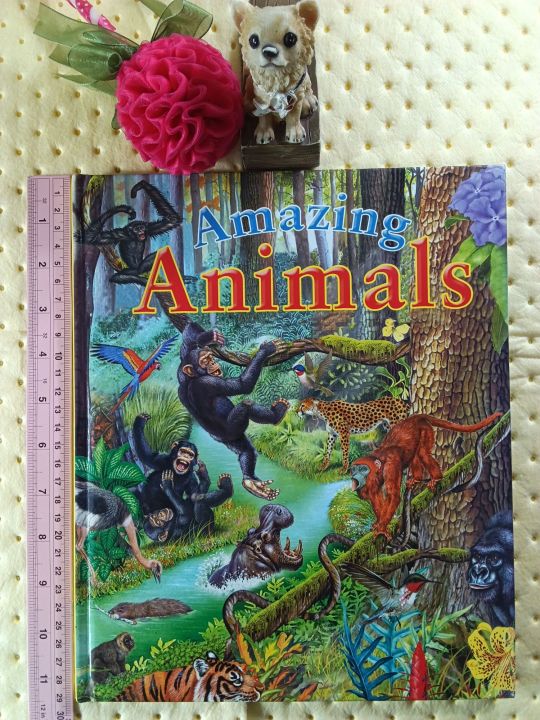 Amazing Animals : Encyclopedia book Hardback (Pre-owned) หนังสือความรู้ ...