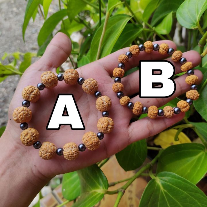 Gelang Rudraksha Jenitri Manik Besar & Sedang | Lazada Indonesia