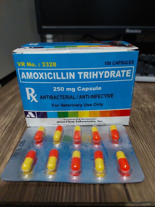 AMOX 250MG,SOLD PER 10 CAPSULES | Lazada PH
