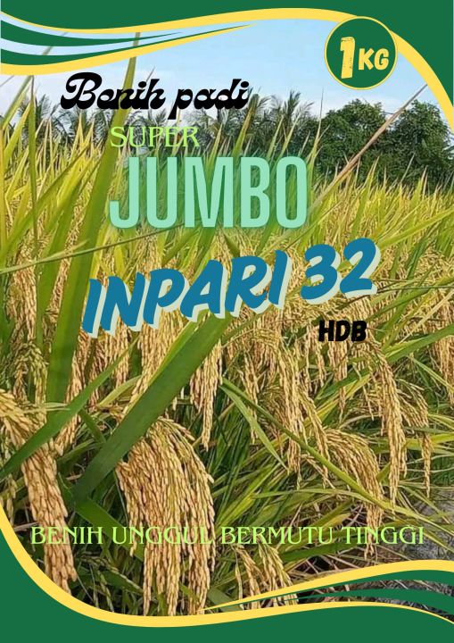 BENIH PADI BERSERTIFIKAT INPARI 32 JUMBO kemasan 1kg | Lazada Indonesia