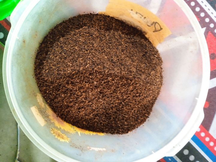 cengkeh pluru / cengkeh rajangan super / cengkeh linting 50gram (COD ...