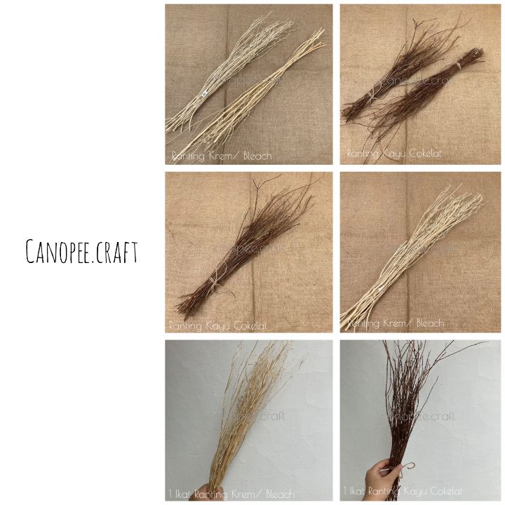 Ranting Kering Bleach / Ranting Krem Ranting Asli Alami | Lazada Indonesia