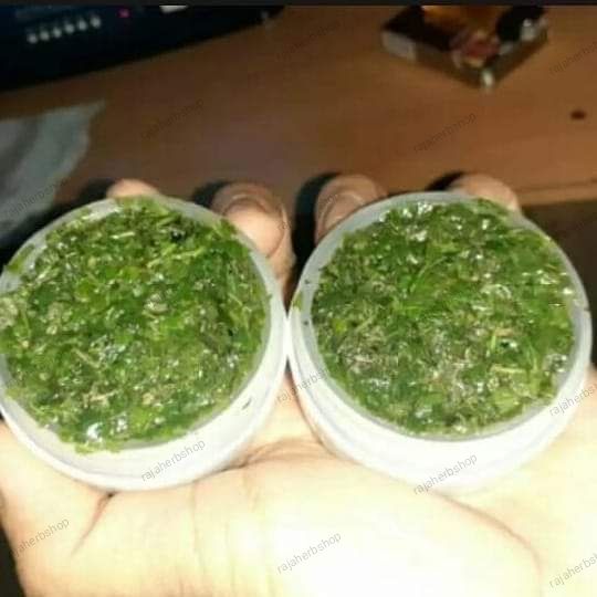 daun bungkus Papua asli 100% | Lazada Indonesia