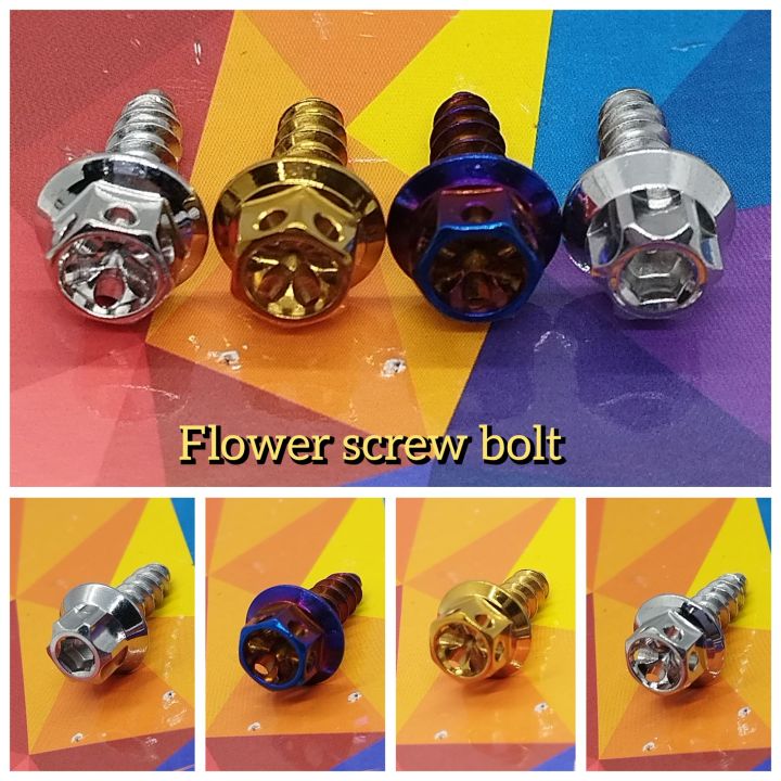 HENG 5x15 BODY SCREW BOLT (PRICE IS PER PIECE) | Lazada PH