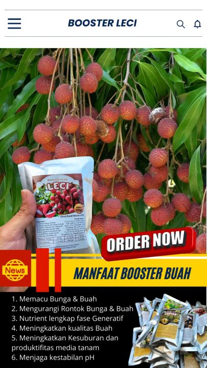 Booster Tanaman Leci / Pupuk Booster Hayati Khusus Tanaman Leci ...