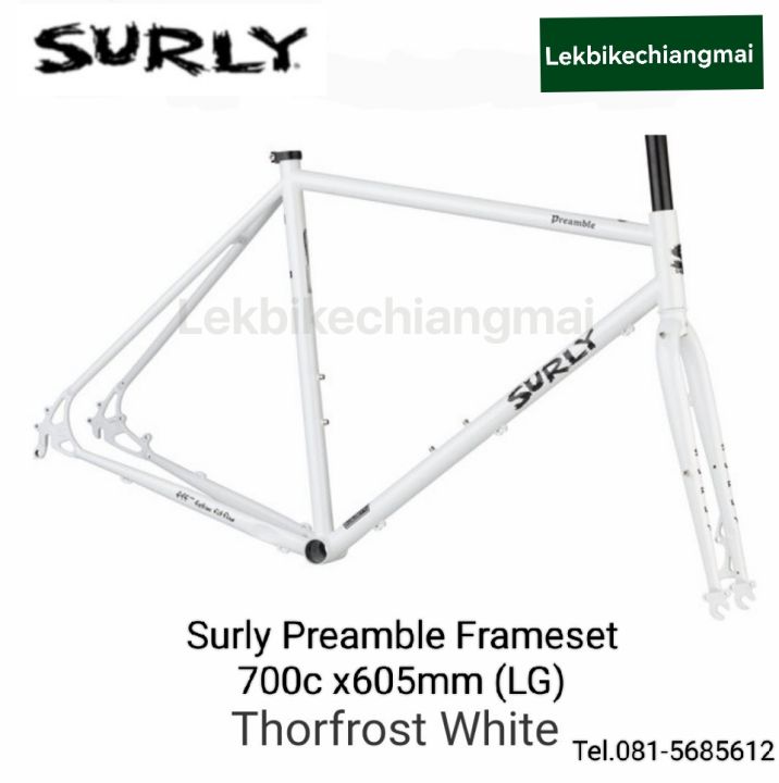 Surly Preamble Frameset - 2023 SIZE:700CX605mm(LG),700CX565mm(MD ...