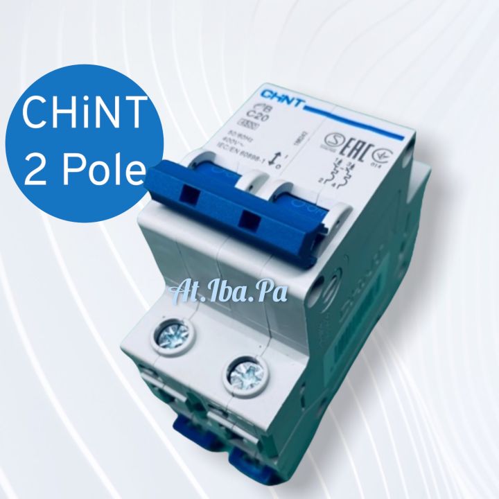 CHiNT 2 POLE MCB MINIATURE CIRCUIT BREAKER | 2A - 63A | AT IBA PA | Lazada PH