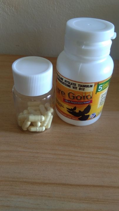 CURE GOLD FOR RACING PIGEON 25 PCS MABISANG GAMOT SA ONE EYE COLD SIPON ...