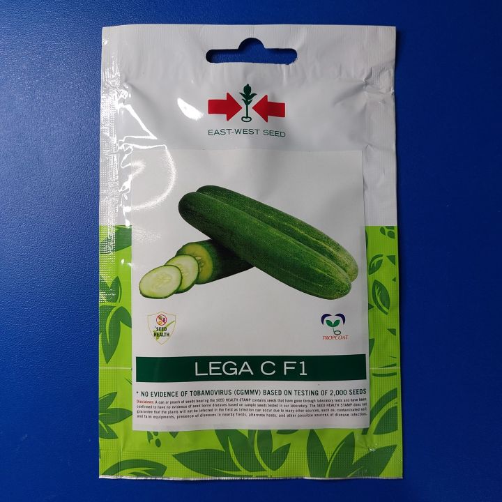 LEGA C F1 (200 SEEDS) HYBRID CUCUMBER SEEDS / PIPINO SEEDS BY EAST WEST ...