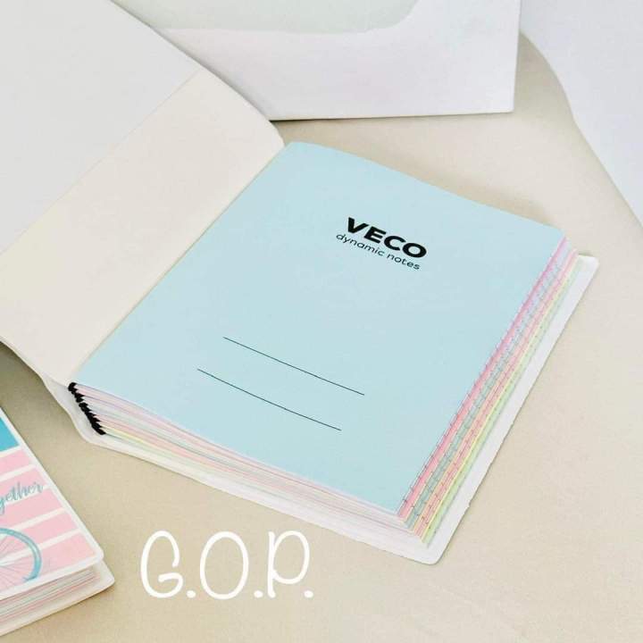 Veco Binder Notebook 10 Divisions | Lazada PH