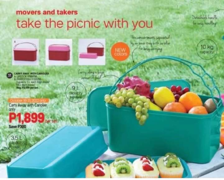 Large Carry All with Handle | Lazada PH