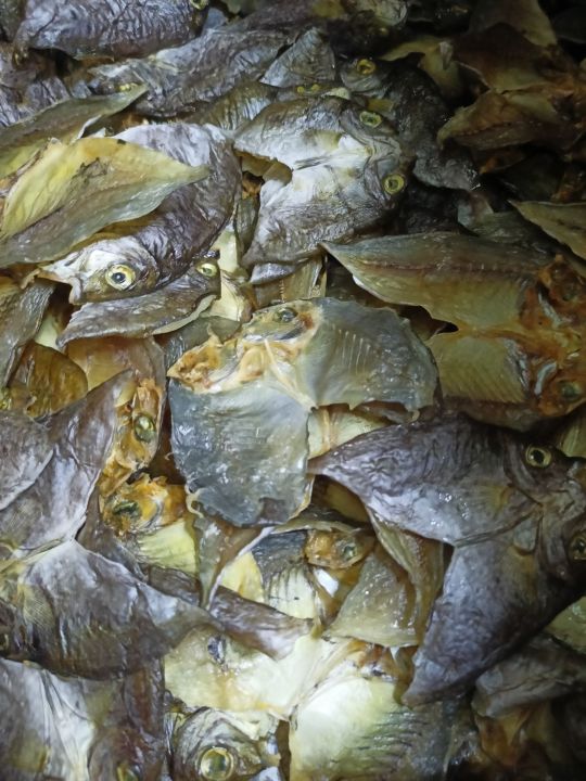 D&A Driedfish Boneless Dangit Cebu ( Assorted Sizes) | Lazada PH