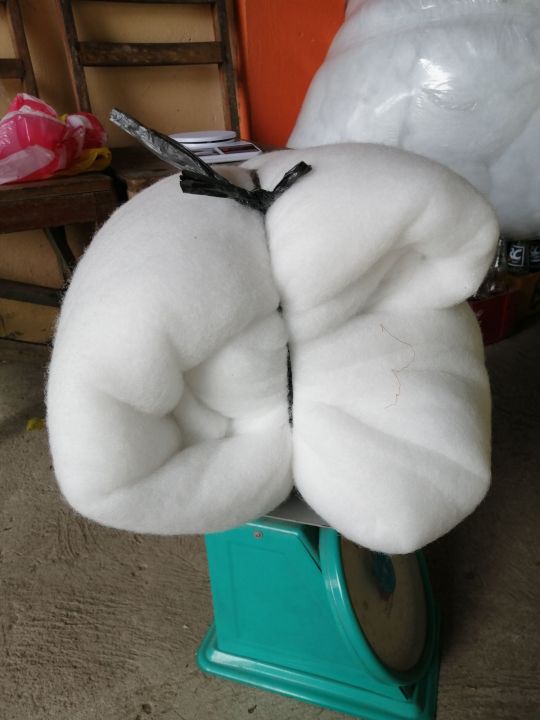 cotton fill | Lazada PH