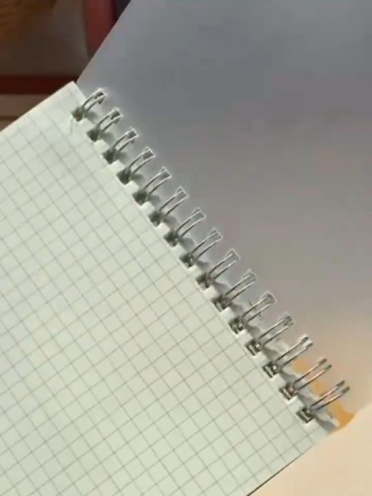 Steno Muji Styled Spiral Vertical Flip Notebook Type A6/A5/B5/A4 ...