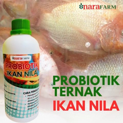 Probiotik ikan nila,Probiotik ikan nila bioflok,Probiotik untuk kolam ...