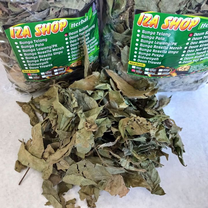 Daun Kari Kering/Daun Salam Koja 50gr | Lazada Indonesia