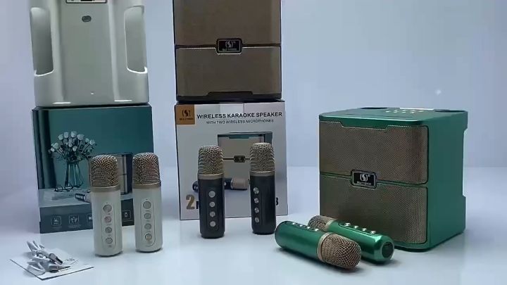 Portable Karaoke Bluetooth Speaker with 2 Wireless Microphone 120W Peak ...