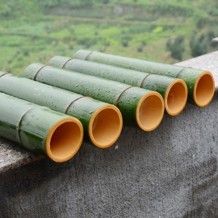 Handcrafted Bamboo Pole Landscape Moso Bamboo Steamed Rice Nursery Game ...