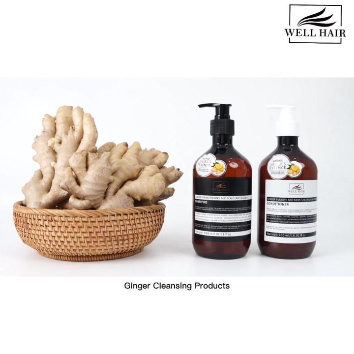 Well Hair Ginger Essence Shampoo & Conditioner Repairing Damage Dry ...