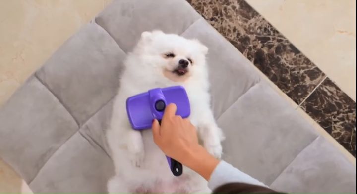 MONKUN หวีกำจัดขนสัตว์เลี้ยง ปุ่มดันขนออก หวีสุนัข หมา แมว หวีแปรงขน ...