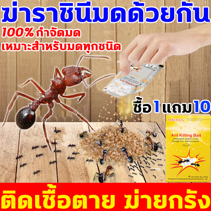 ฆ่าราชินีมดด้วยกัน ยาฆ่ามด Ant Killing Baiit นำเข้าจากอเมริกา เหยื่อ ...