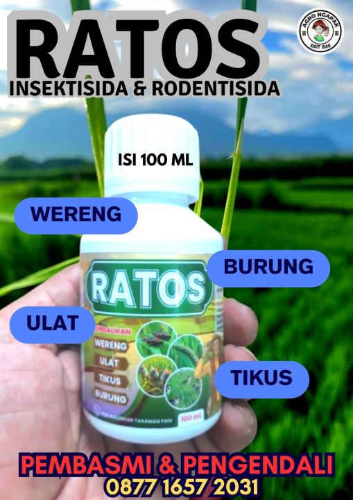 RATOS Pestisida Pengendali Hama Tikus dan Burung Padi, Wereng | Lazada ...