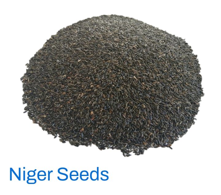 Niger Seeds 1kg | Lazada PH