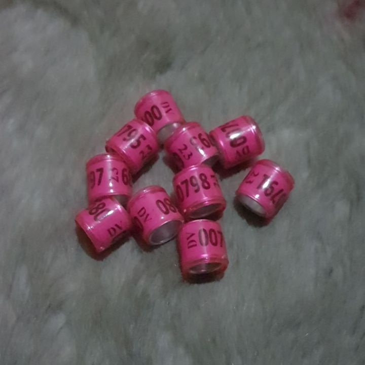 Pigeon Foot Ring 2024 DV 10 pieces 8mm On Hand ready to ship Manila ...