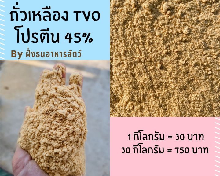 ถั่วเหลือง TVO ถั่วTVO โปรตีน 45% กากถั่วเหลืองอาหารสัตว์ *****แบ่ง ...