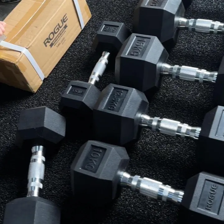 ROGUE Hex Dumbbell, 2.5KG-40KG, Original Authentic, Strength Muscle ...