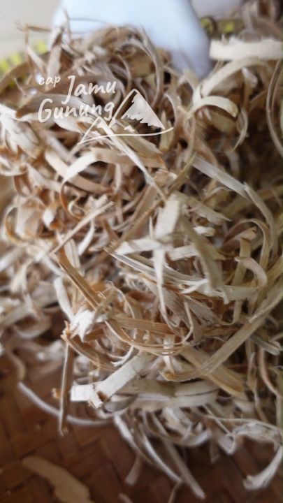 Widoro Laut Kering 250gr Organik Asli Hutan - Lebih Berkhasiat ...