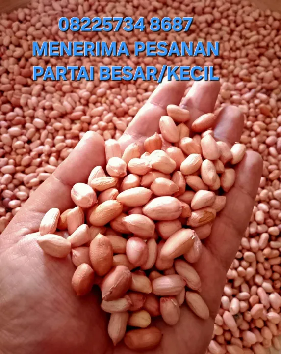 KACANG TANAH KUPAS KACANG ENAK KACANG NUT 500gr | Lazada Indonesia