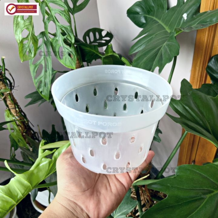 pot bunga tanaman banyak lubang POROS 15 BENING TRANSPARAN - NKT POROS ...