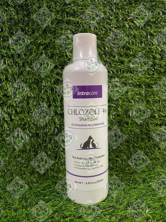 Chlozole (formerly Chlohex) Medicated Shampoo for Cats and Dogs 250ml ...