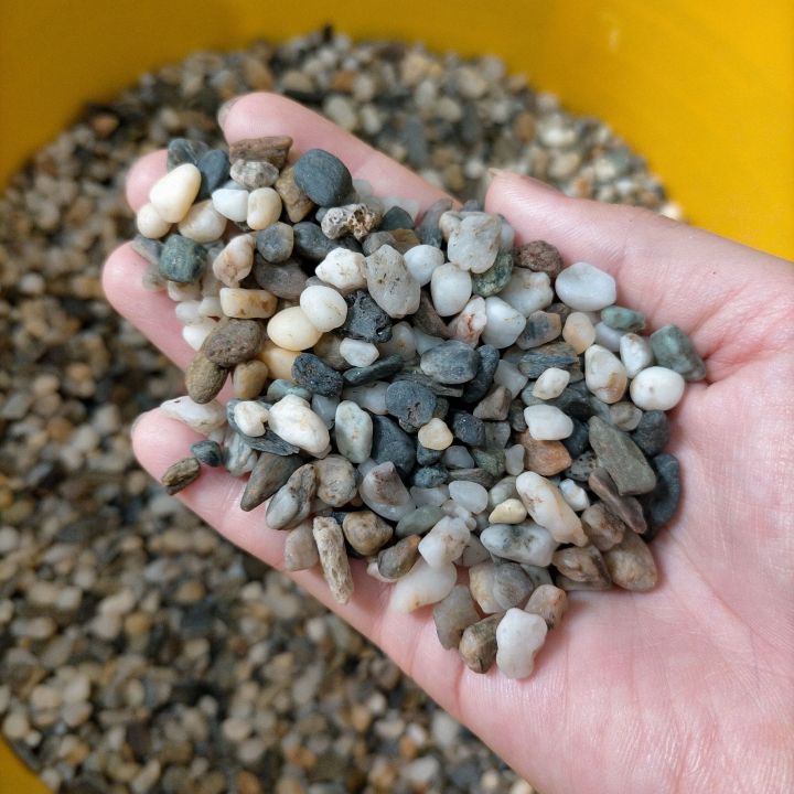 Seven Color Pebbles Stone 2kg per pack | Lazada PH