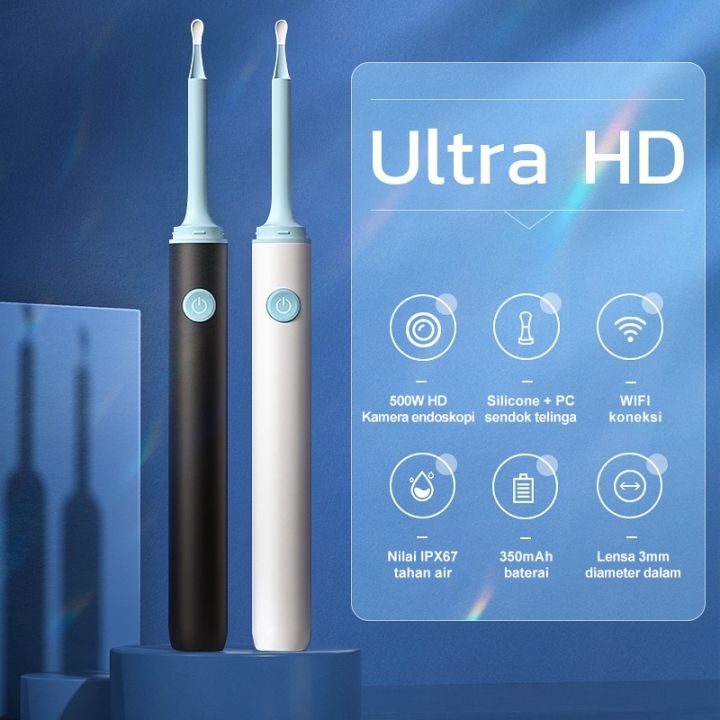 PASTSKY Earpick With Camera Visual Ear Wax Cleaner Ear Cleaner Ear ...