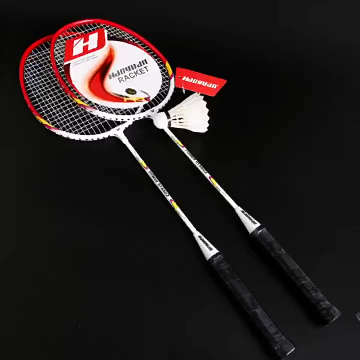 🏠💥Badminton Rackets Set 2 Player Badminton Racquets for Beginner Adults ...