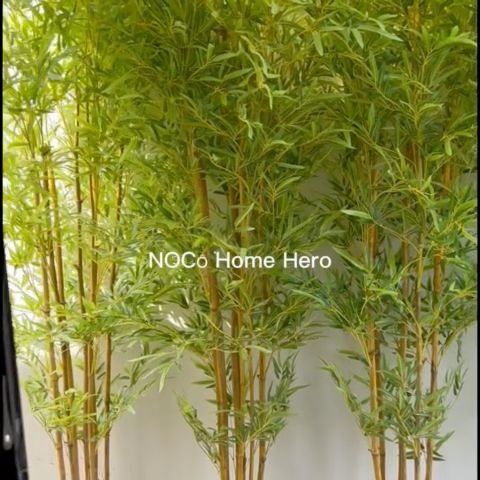 Noco EverBamboo PREMIUM Artificial Bamboo Tree Realistic bamboo Tree ...