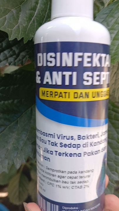Disinfektan Anti Septik Sterilisasi Kandang Merpati Unggas / Basmi ...