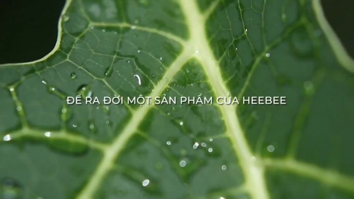Bồ Hòn Đa Năng Tiện Dụng Heebee Giúp Làm Sạch Tóc Và Cơ Thể Lành Tín Từ ...