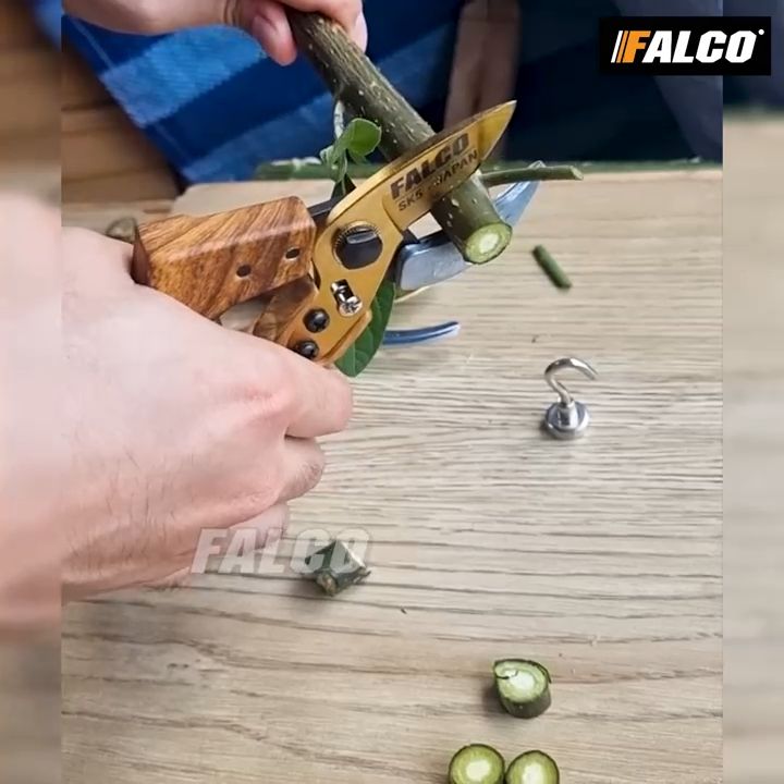 FALCO กรรไกรตัดกิ่งลายไม้ SK5 เกรดญี่ปุ่น กรรไกรแต่งกิ่ง 8นิ้ว กรรไกรตัดแต่งกิ่งไม้ กรรไกรตอน ...