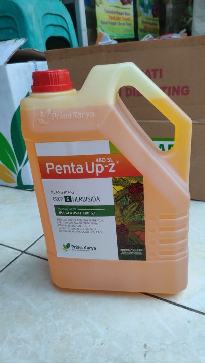 Herbisida Penta Up Z 480 SL 5 Liter Prima Karya | Lazada Indonesia