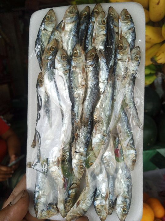 Dried Baby TAWILIS , pasalubong (Unsalted fish) 1pack per order | Lazada PH