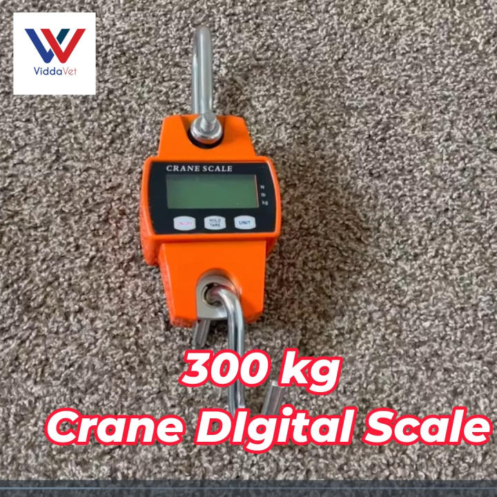 Hang type weighing Scale Industrial Hanging Weight 300kg capacity crane ...