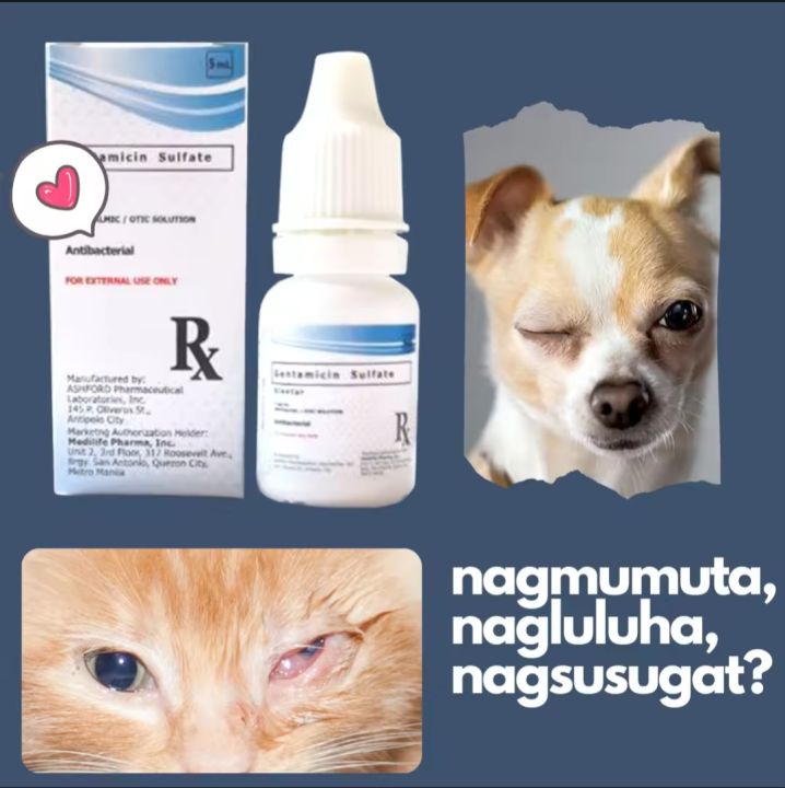 Genta Eye Drops for Pets | Lazada PH