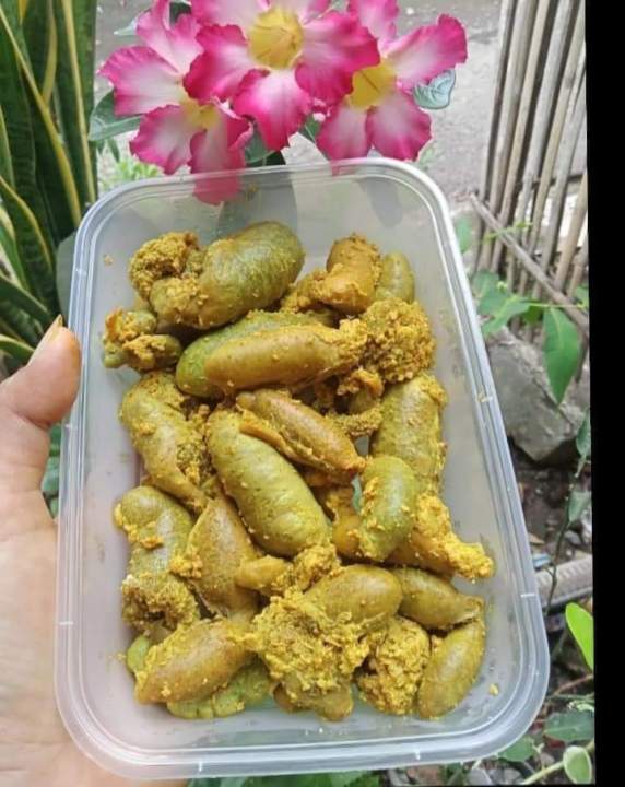 telur ikan nila,patin goreng,100 gram,sangat lezat bergizi tinggi ...