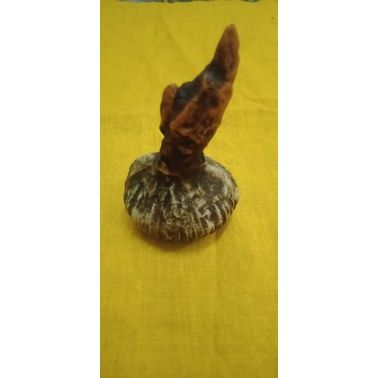 TOMBONG JADI BATU | Lazada